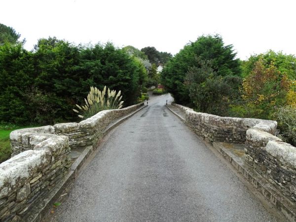 Lerryn bridge clean up! : Lerryn
