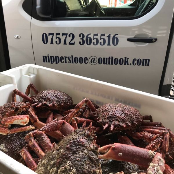 Free Fish deliveries from Nippers Shellfish : Lerryn