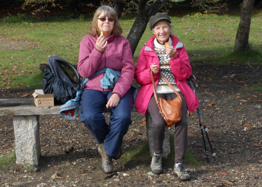 Photo Gallery : Lerryn