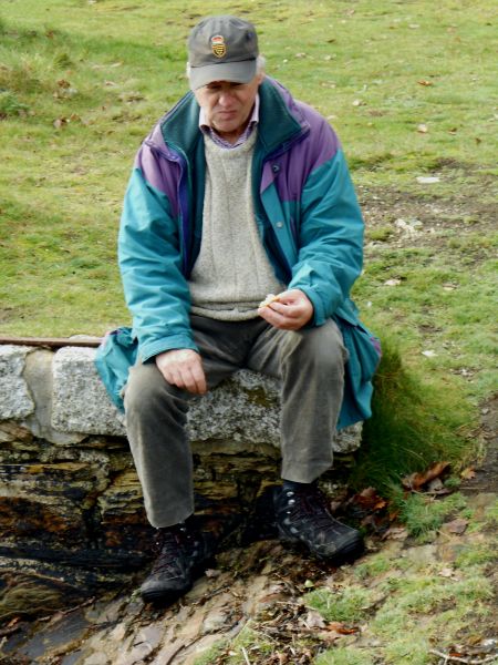 Photo Gallery : Lerryn