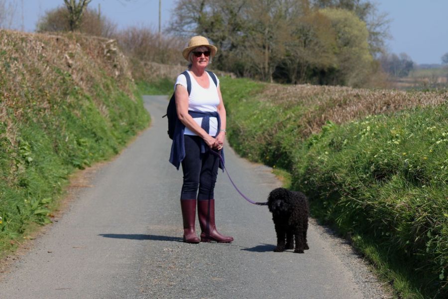 Photo Gallery : Lerryn