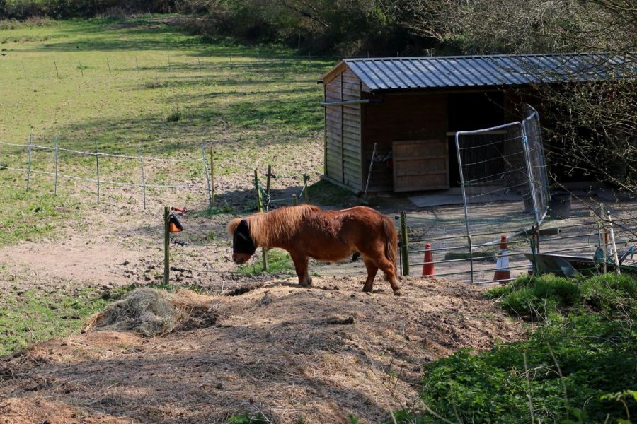 Photo Gallery : Lerryn