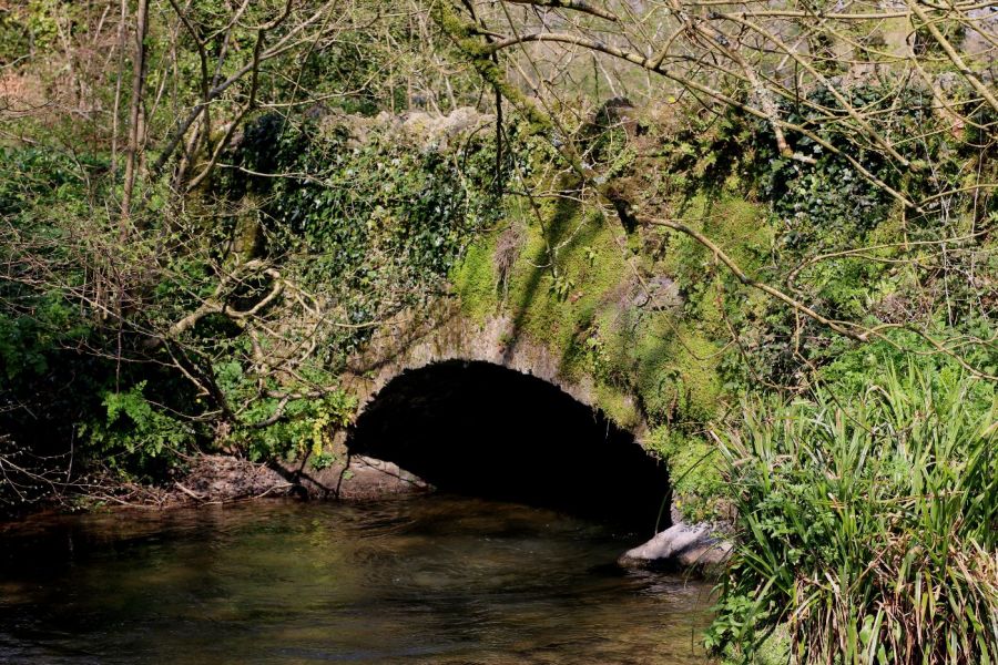 Photo Gallery : Lerryn