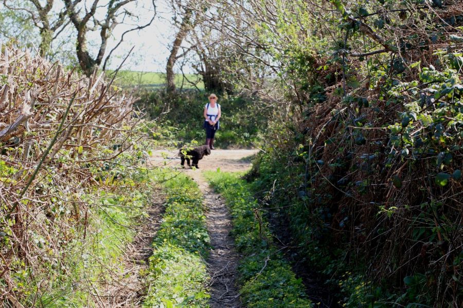 Photo Gallery : Lerryn