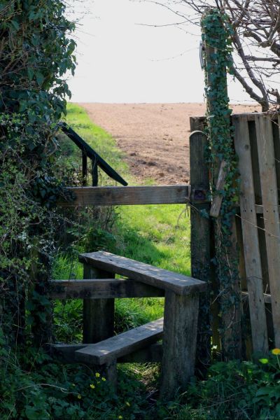 Photo Gallery : Lerryn