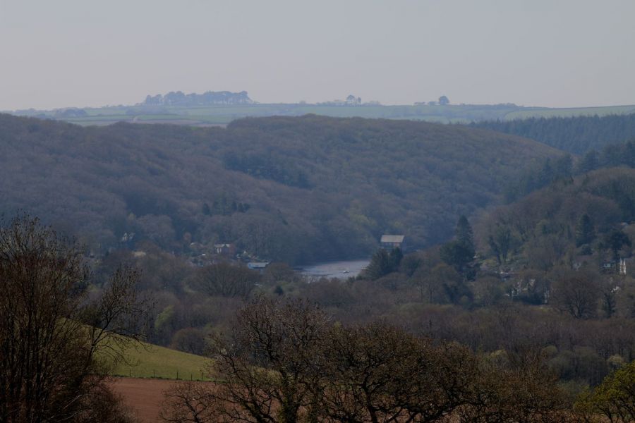 Photo Gallery : Lerryn