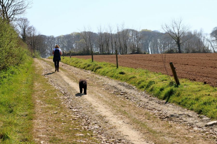 Photo Gallery : Lerryn