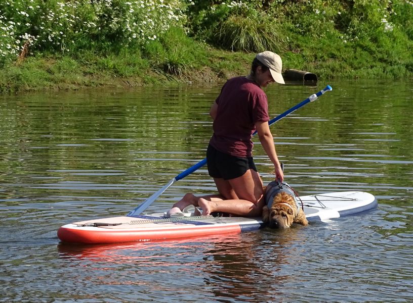 Photo Gallery : Lerryn
