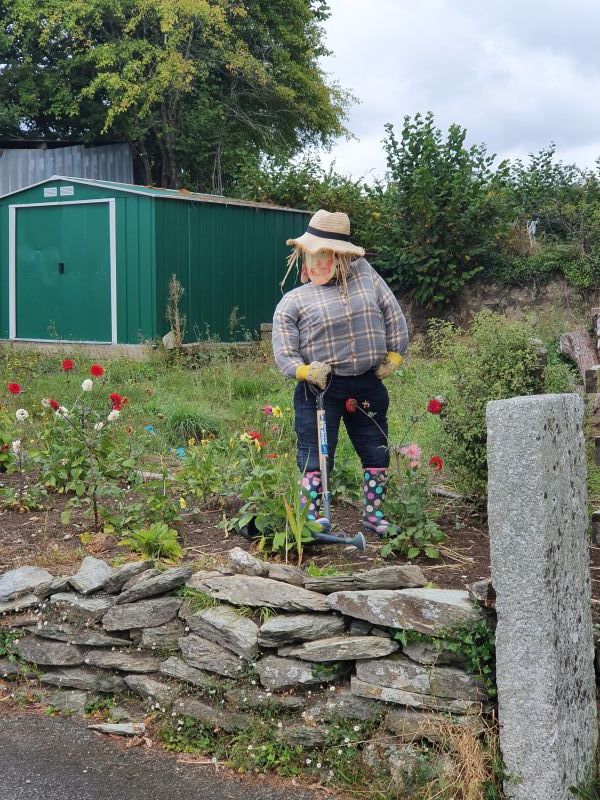 Photo Gallery : Lerryn