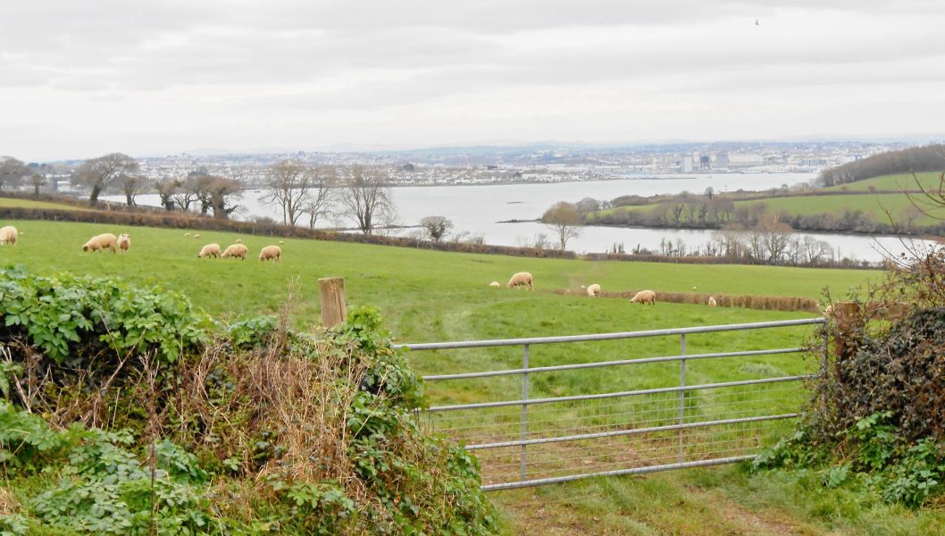 Photo Gallery : Lerryn