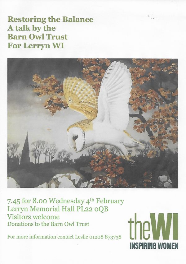 Restoring the Balance - the Barn Owl Trust : Lerryn