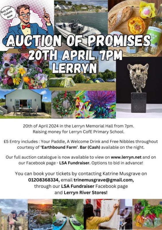 Auction of Promises Evening : Lerryn