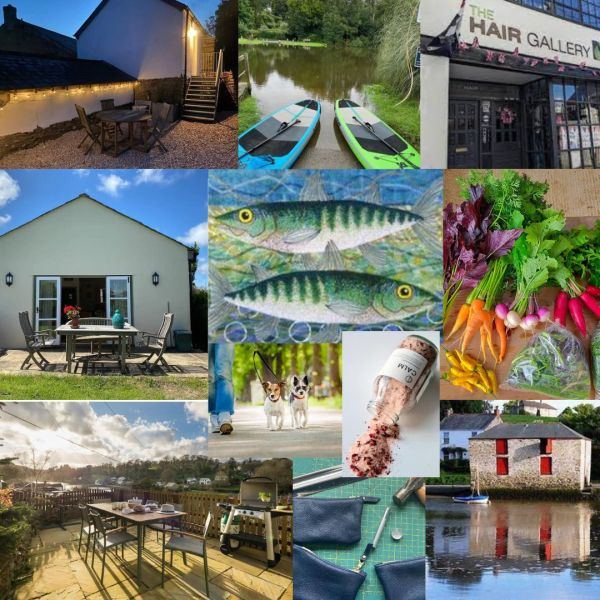 Lerryn area community website